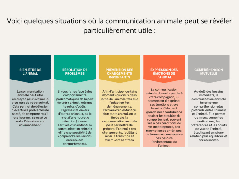 Communication animale: le guide ultime - Communication animale, Bien-être animal et humain