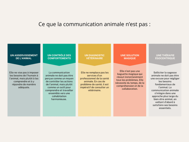 Communication animale: le guide ultime - Communication animale, Bien-être animal et humain